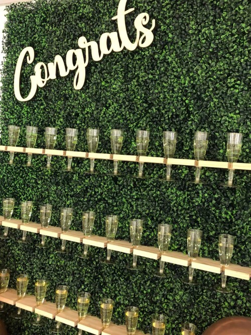 Champagne Wall Rental | New Orleans, LA